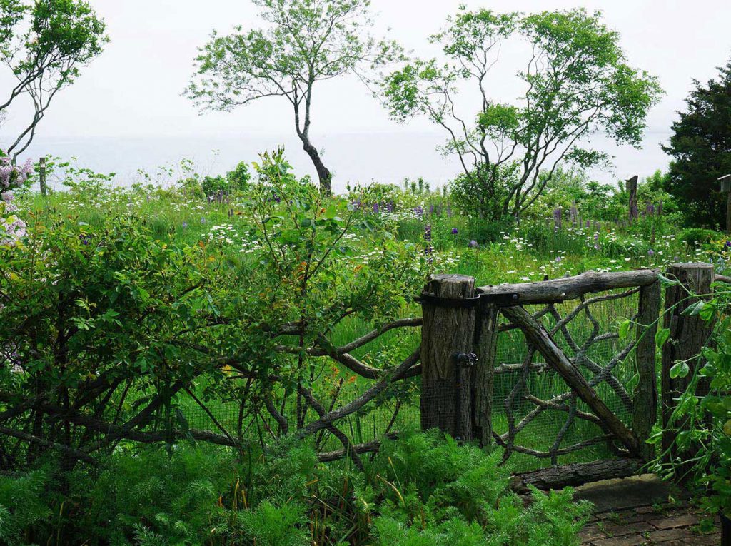 FARM Design llc Landscape Design